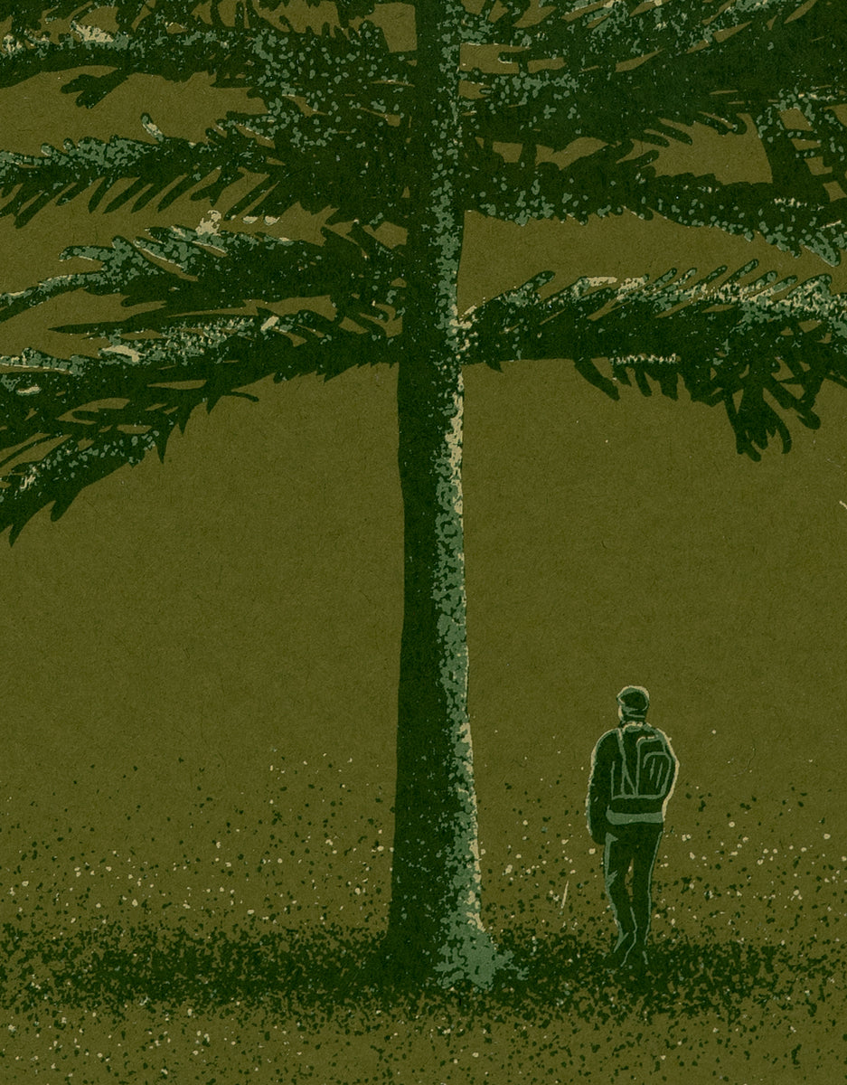 Field Guide Inspired Pine Tree Print – Arsenal Handicraft